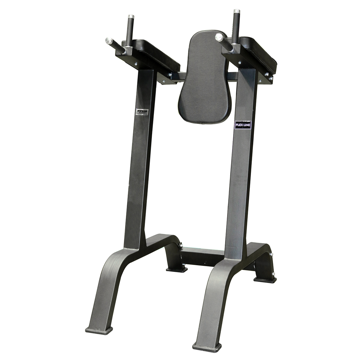 FL6010 Vertical Knee Raise / Dip Stand - VIVA FITNESS